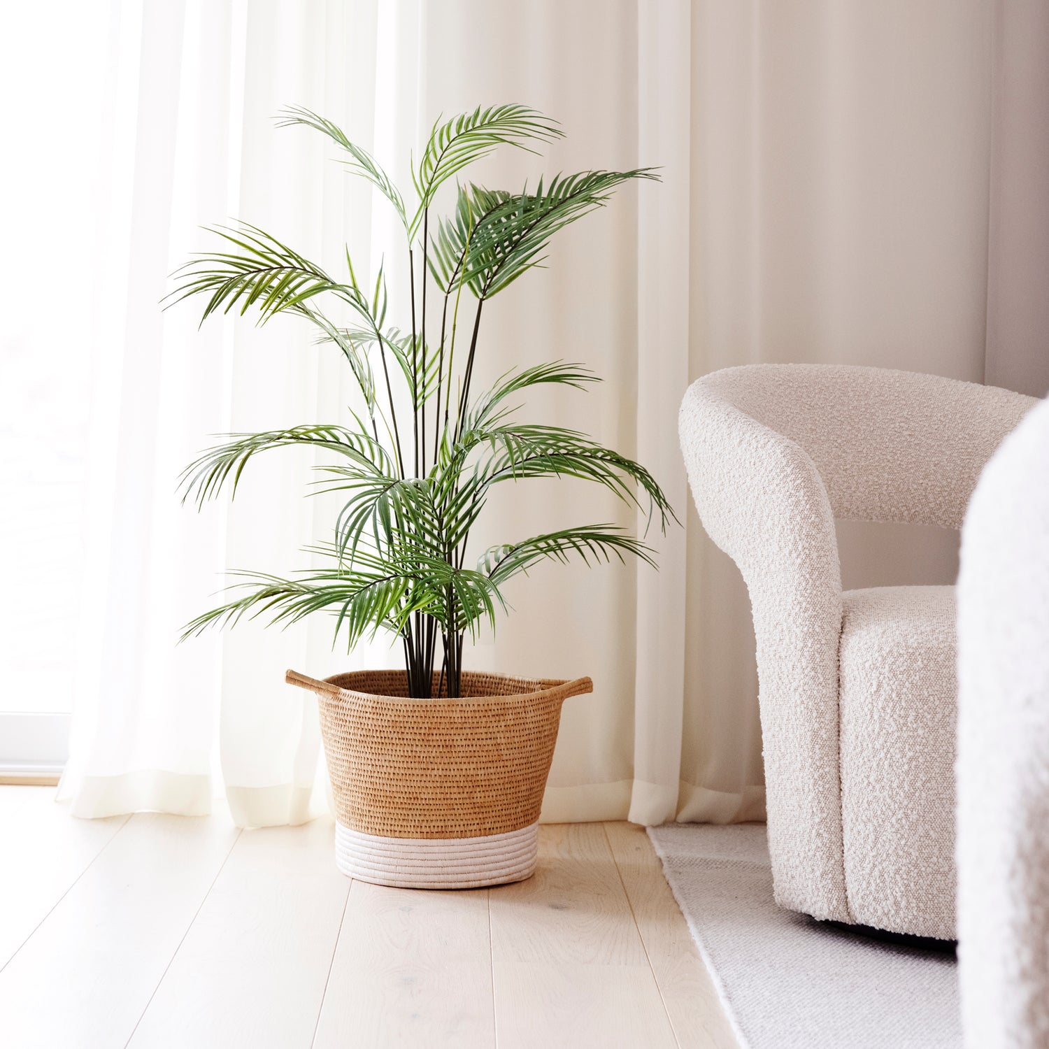 BAMBOO & REED – BAMBOO & REED AS